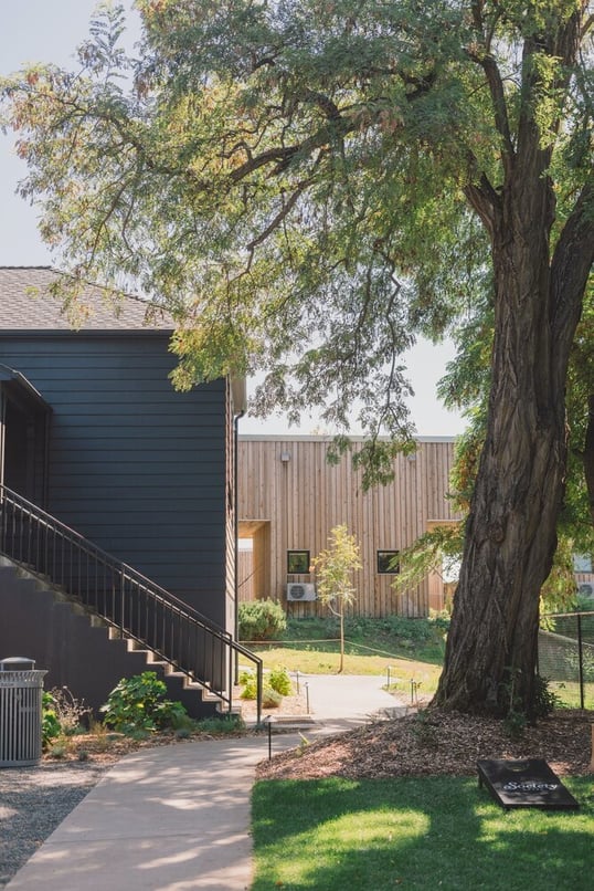 How Trees Impact your Renovation or Home Addition in Toronto